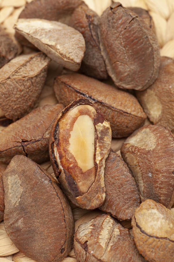 Open Nuts with Clean and Bright Background Stock Photo - Image of ...