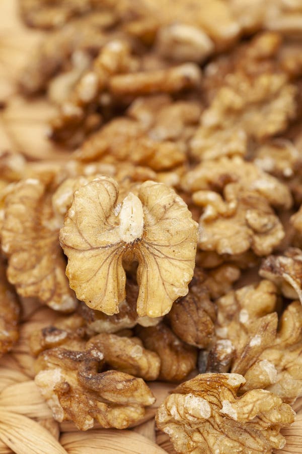 Open Nuts with Clean and Bright Background Stock Photo - Image of ...