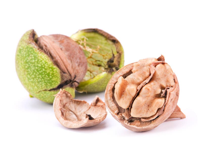 Open okkernoot stock foto. Image of open, beeld, okkernoot - 26124674