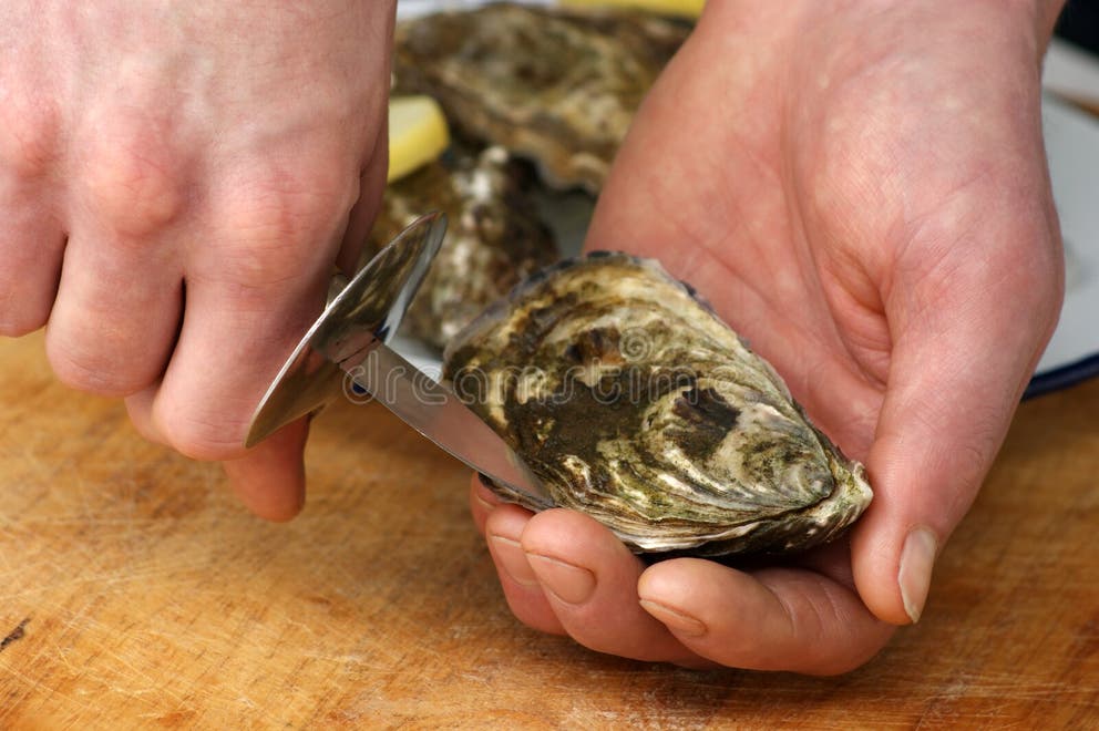 Open One Raw Organic Oyster Stock Photo - Image of snack, shell: 11611436