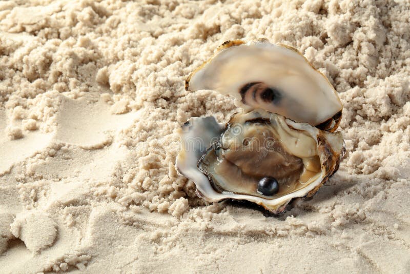 Open Oyster with Black Pearl on Sand, Space for Text Stock Image ...