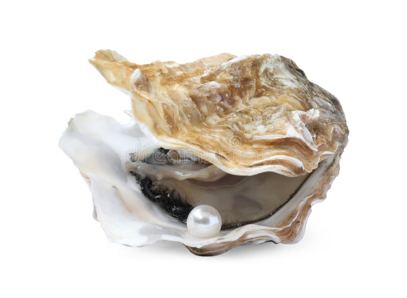 Open Oyster with Pearl Isolated on White Stock Image - Image of ...