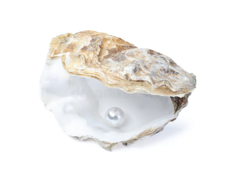 Open Oyster with Pearl Isolated on White Stock Photo - Image of color ...