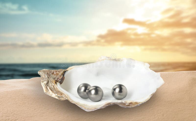 Open Oyster Shell with Black Pearls on Sandy Beach Near Sea Stock Image ...