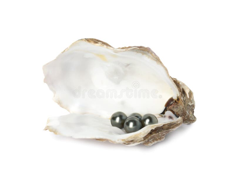 Open Oyster Shell with Black Pearls on White Background Stock Image ...