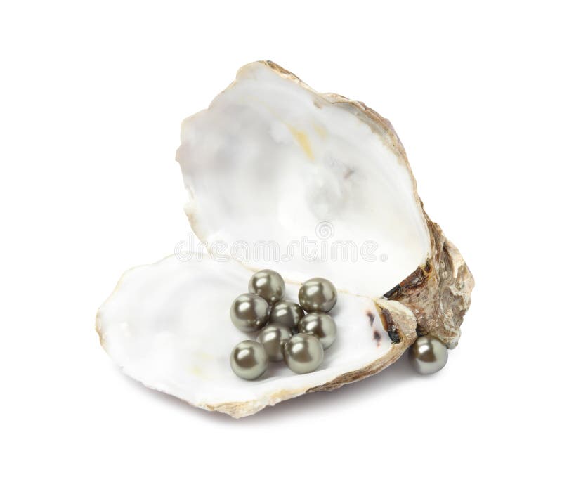 Open Oyster Shell with Black Pearls on White Background Stock Image ...