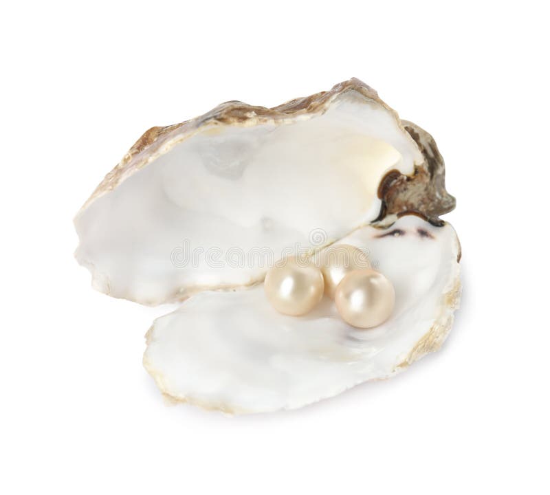 Open Oyster Shell with Pearls on White Background Stock Image - Image ...