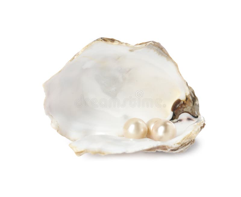 Open Oyster Shell with Pearls on White Background Stock Photo - Image ...