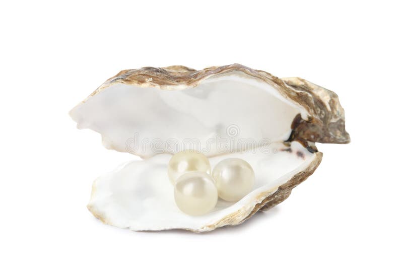 Open Oyster Shell with Pearls on White Background Stock Photo - Image ...