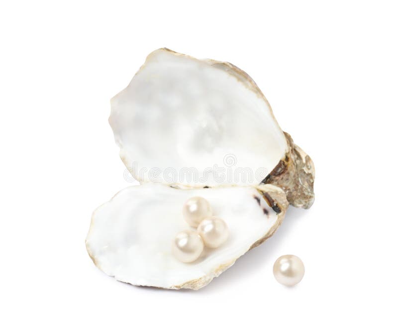 Open Oyster Shell with Pearls on White Background Stock Image - Image ...