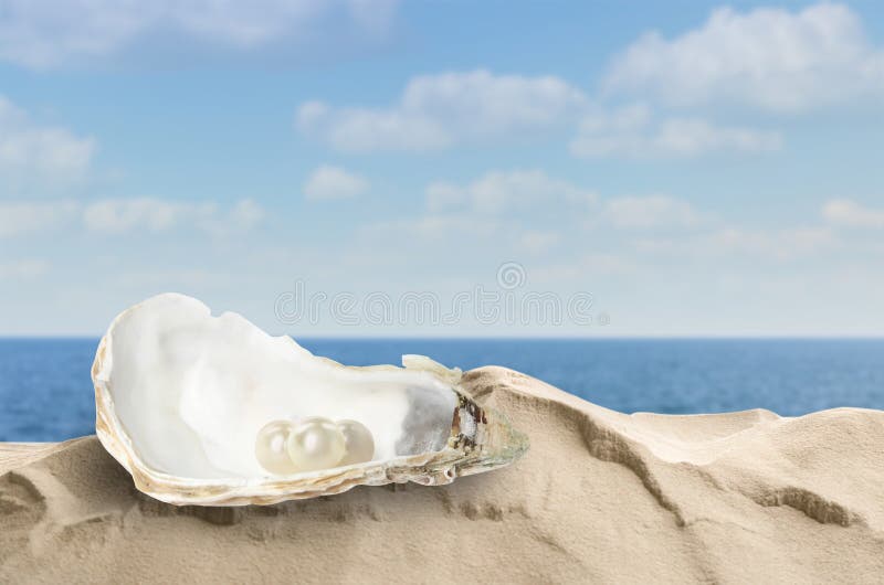 Open Oyster Shell with White Pearls on Sandy Beach Near Sea Stock Photo ...