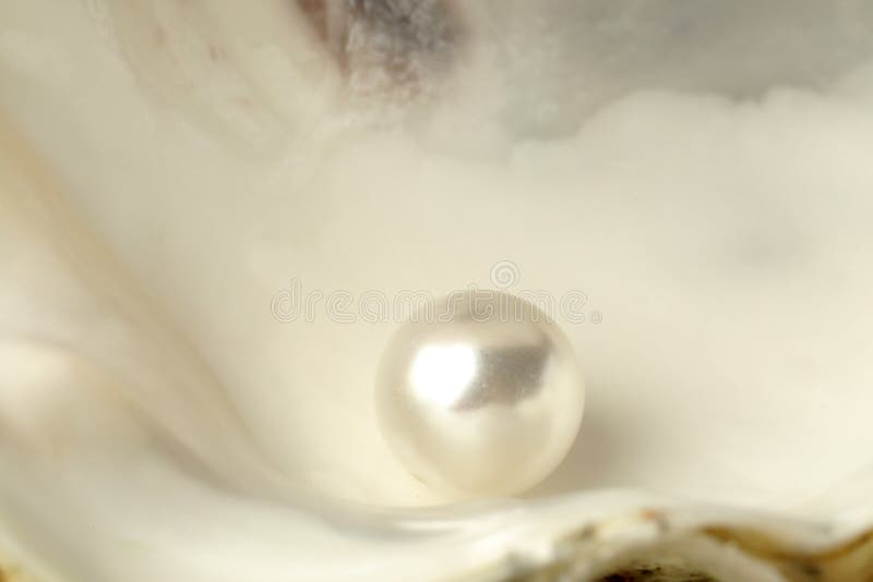 Open Oyster with White Pearl, Closeup View Stock Image - Image of ...