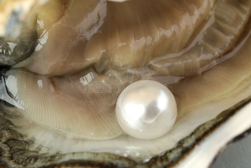 Open Oyster with White Pearl, Closeup View Stock Image - Image of ...