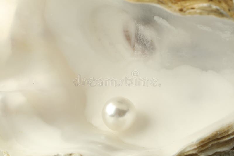 Open Oyster with White Pearl, Closeup View Stock Image - Image of ...