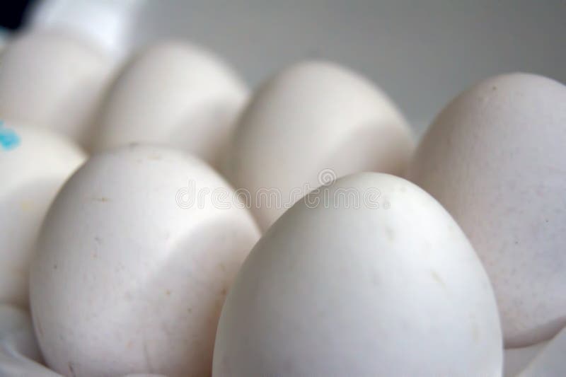 Open Pack with Raw White Chicken Eggs Stock Photo - Image of ingredient ...