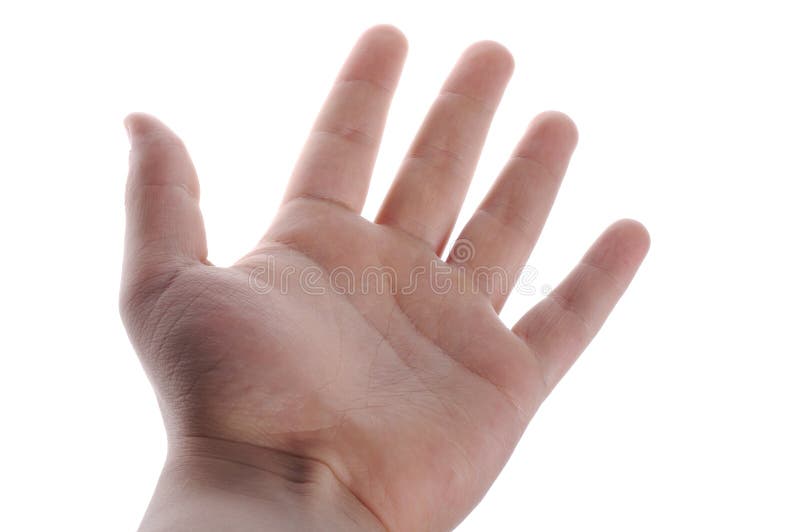 Open palm stock photo. Image of support, help, white, hand - 2122406 Open palm stock photo. Image of support, help, white, hand - 2122406