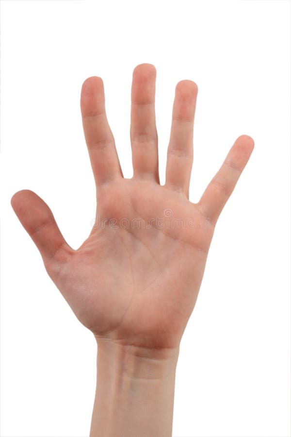 Open palm stock photo. Image of female, isolated, human - 4544114 Open palm stock photo. Image of female, isolated, human - 4544114