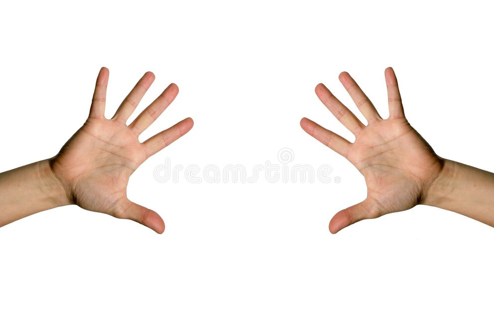 Open palm hand stock image. Image of fingers, demonstrate - 2386721