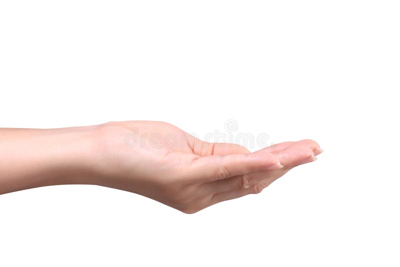 Open palm hand stock photo. Image of isolated, idea, closeup - 26600888