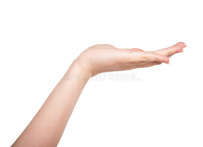 Open Palm Hand Gesture Of Male Isolated On White Stock Photo - Image of ...