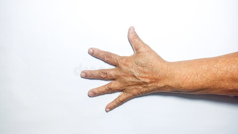 Open Palms Facing Back in Eye Level View Stock Image - Image of view ...