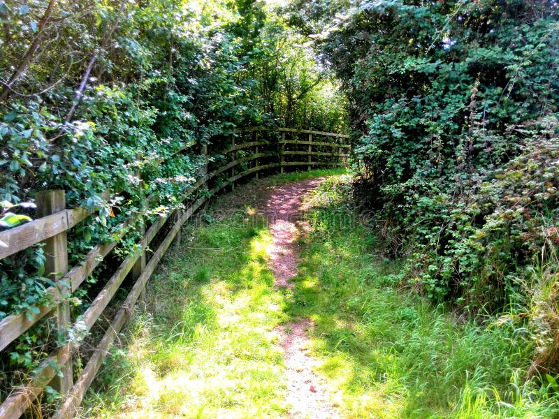 Open path on a sunny day stock photo. Image of landscape - 113182442