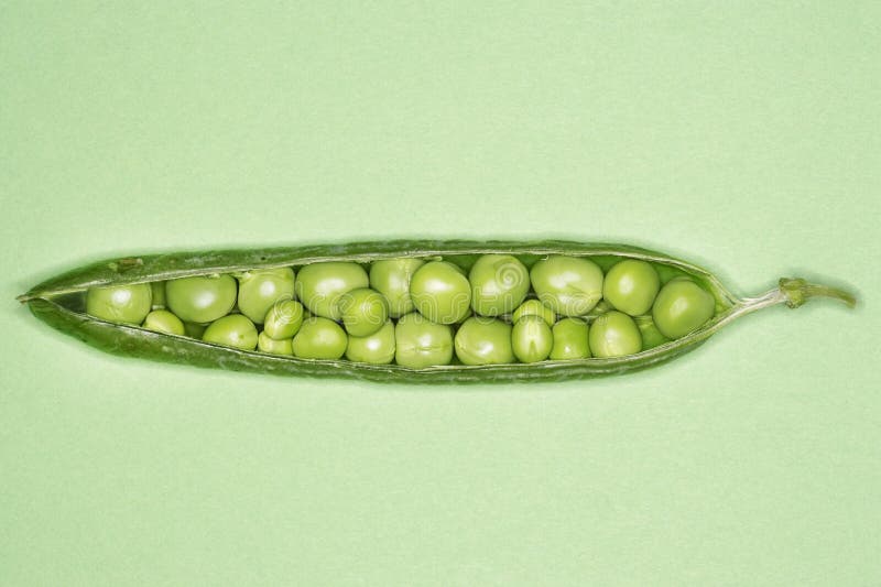 Open Pea Pod Containing Peas Close-up Stock Photo - Image of eating ...