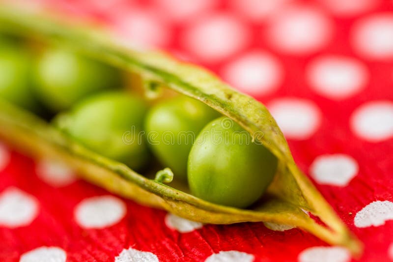 6,191 Green Polka Dot Background Stock Photos - Free & Royalty-Free ...