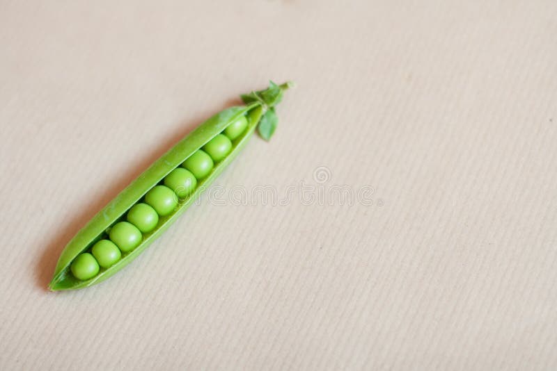 Open pea pod stock photo. Image of organic, fresh, nutrition - 114034890