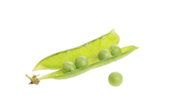 Open Pea Pod and Single Pea Stock Photo - Image of husk, food: 15018226