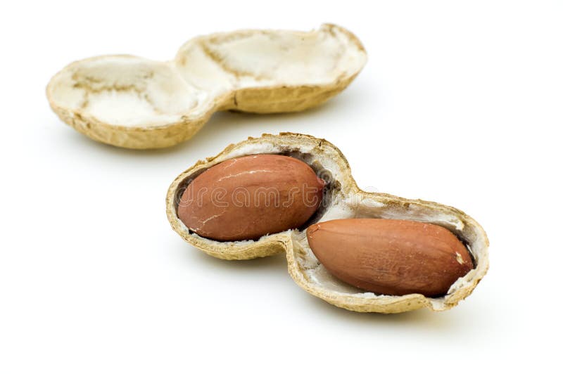 Open peanut stock photo. Image of open, nutrition, depth - 3399778