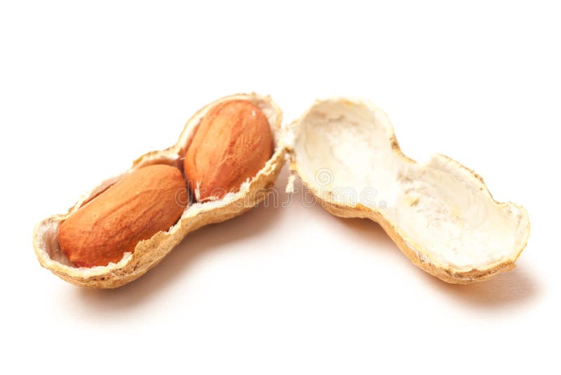 Raw Peanut stock photo. Image of legume, open, brown - 37668170