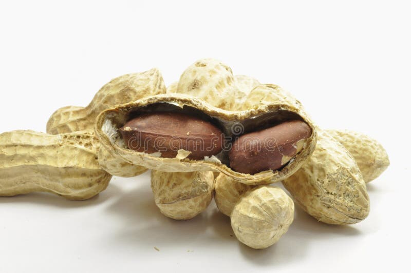 Peanuts stock photo. Image of prized, acids, autumn, natural - 17306000