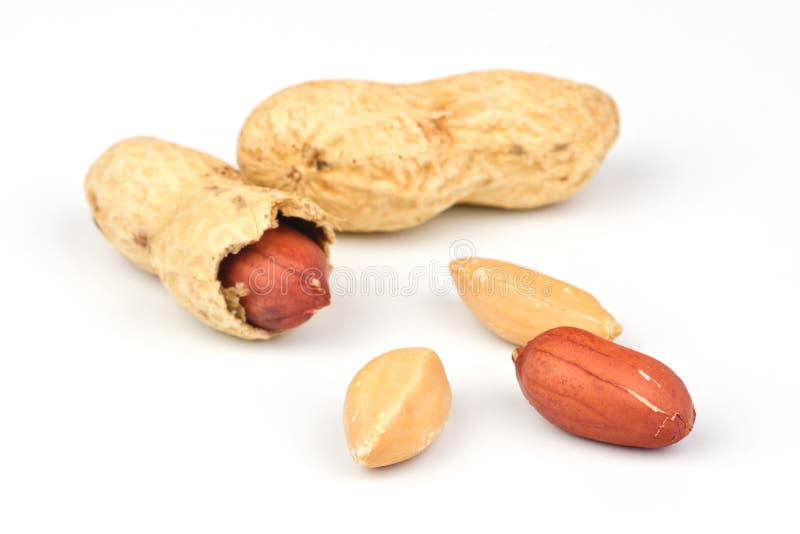 Open peanuts stock image. Image of plant, strip, peel - 40343837