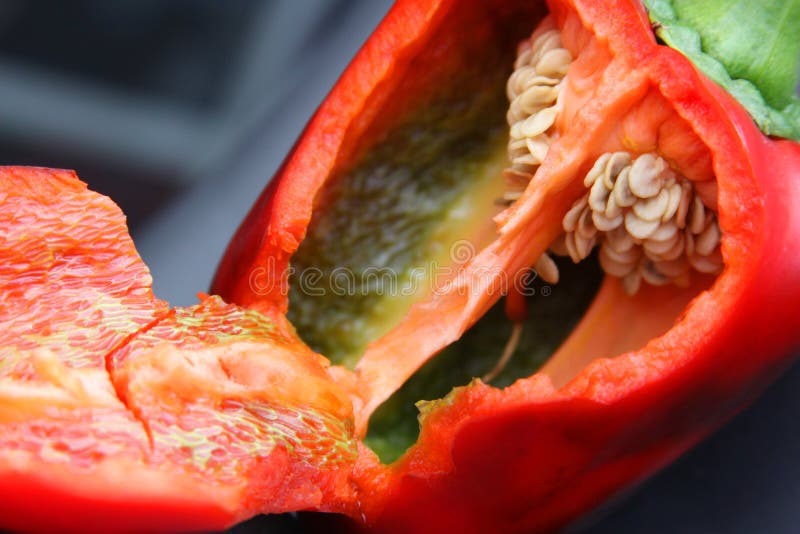 Open pepper stock image. Image of closeup, green, texture - 11329653