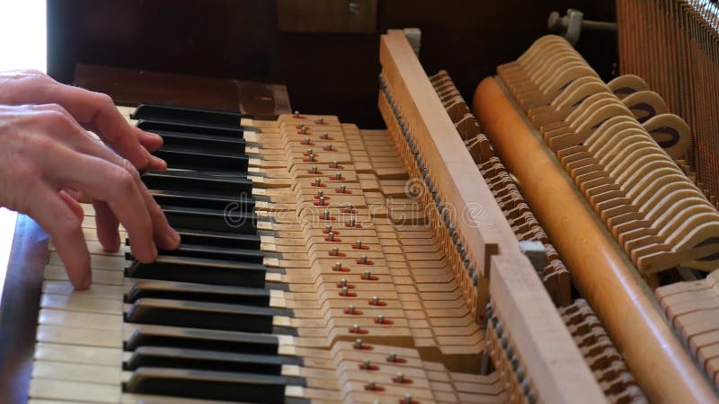 Open Piano with Hands Pressing Keys and Moving Hammers and Strings ...