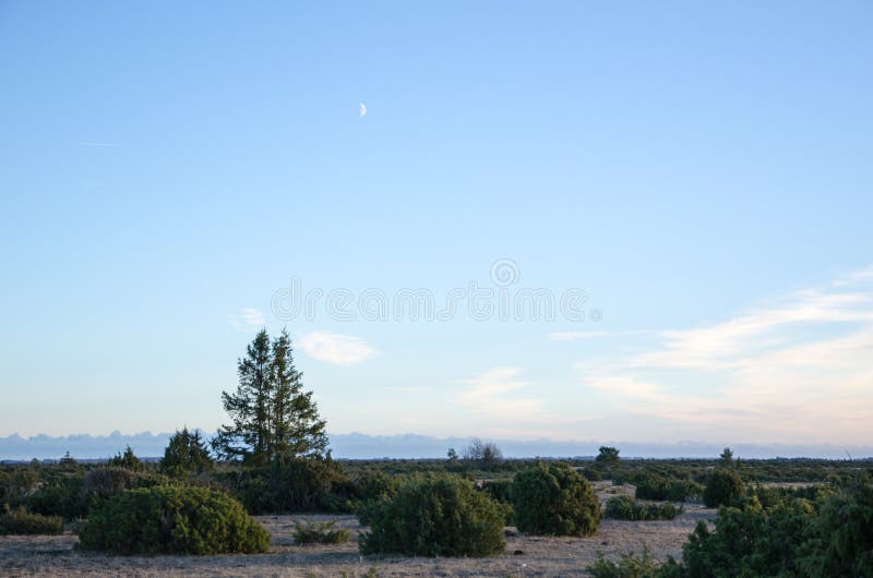 Open plain landscape view stock photo. Image of alvar - 82308284