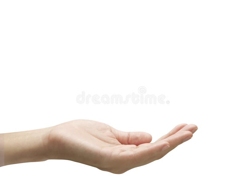 Beautiful Plam Hand Woman Stock Photos - Free & Royalty-Free Stock ...