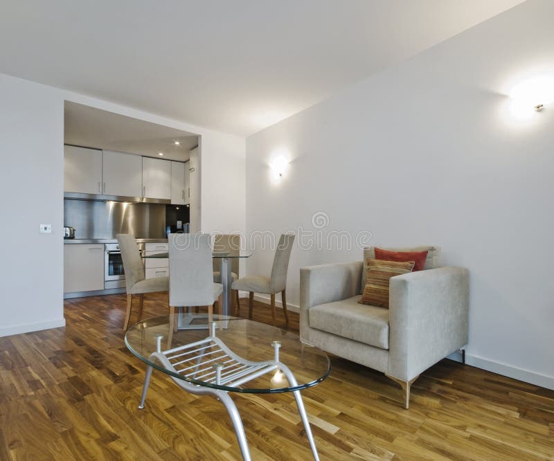 Luxury Open Plan Living Room Stock Photo - Image of halogen, birch: 8815280