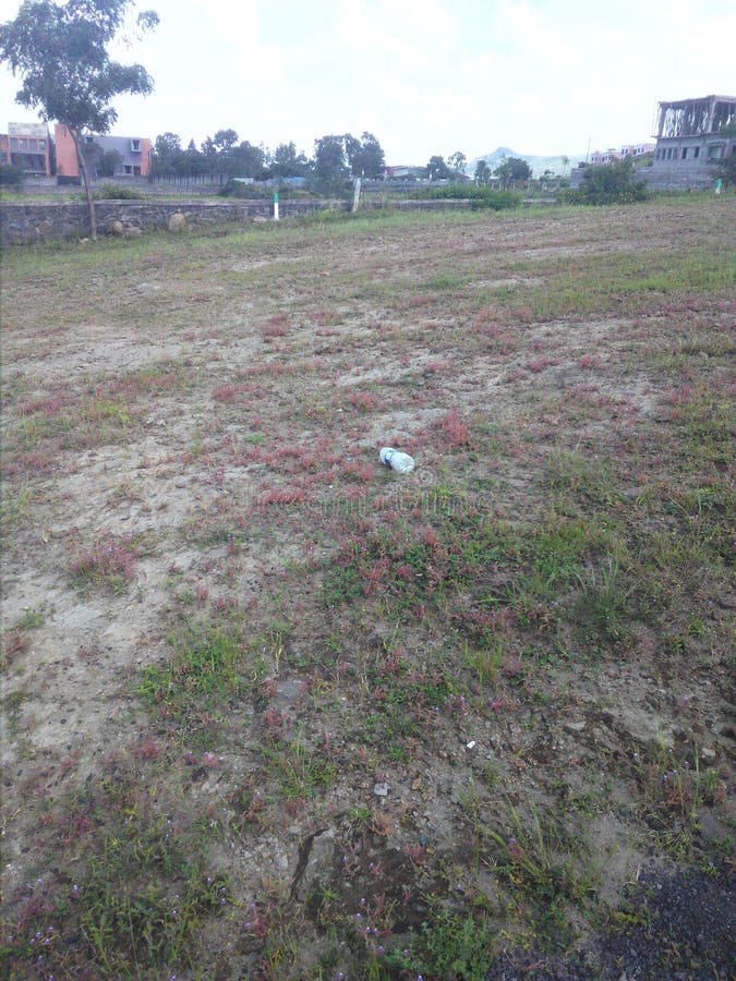 This Image is of an Open Plot or Land with with Grass. Stock Photo ...