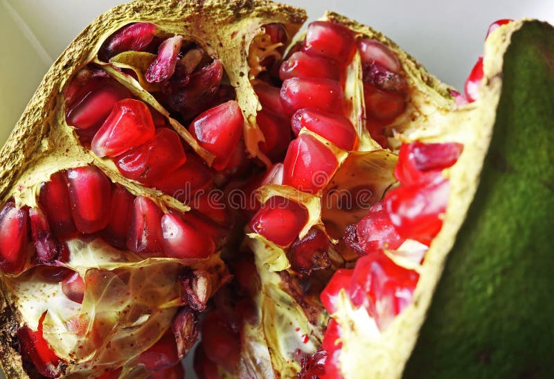 Open Pomegranate Fruit with Thick Outer Skin Displaying Red Pips. Stock ...