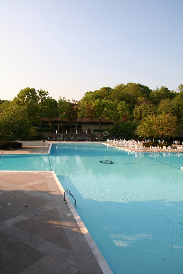 Open Pool Picture. Image: 1102654