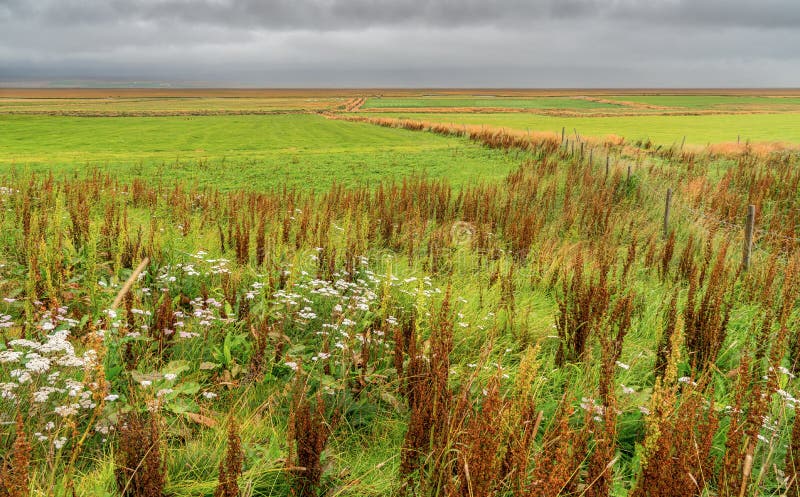 Open Prairie Grasslands with View of Gentle Foothills in Distance ...