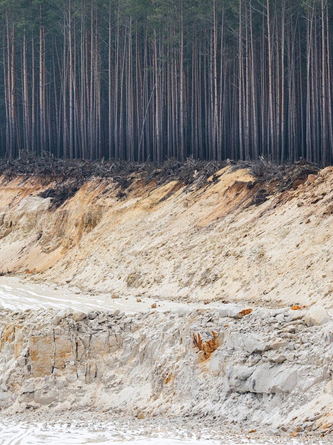 Open Quarry for Glass Sand with an Edge Ending in a Pine Forest Stock ...