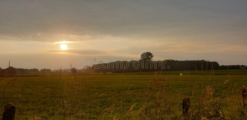 Open range germany stock image. Image of dusk, cloud - 225888279