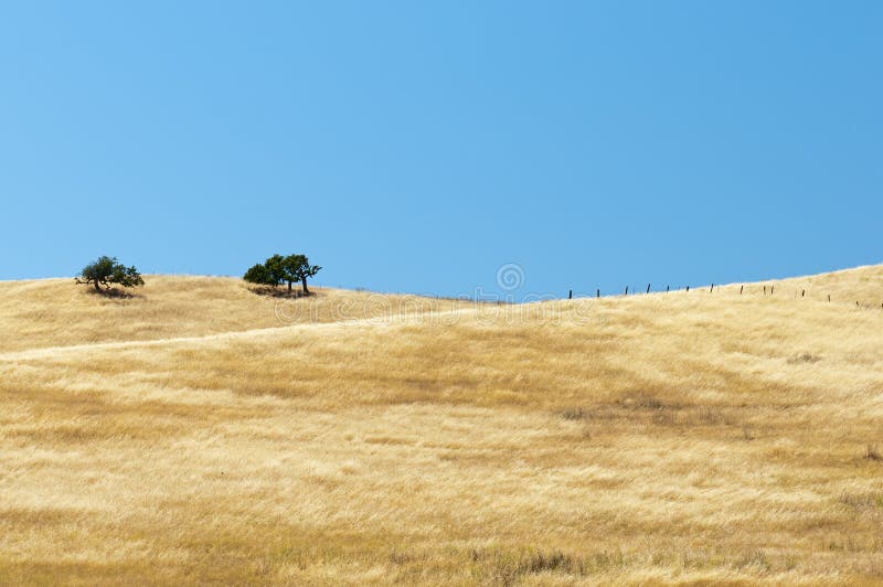 Open range grassy hillside stock photo. Image of western - 25296310
