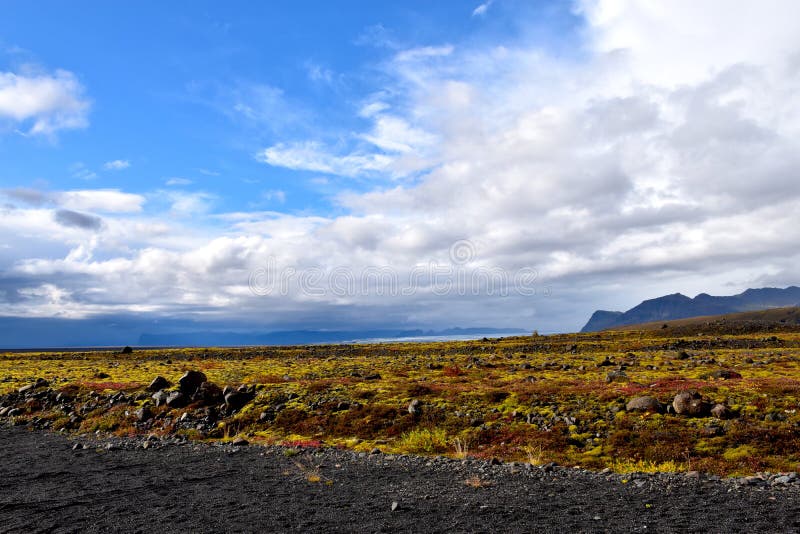 Open range on Iceland stock image. Image of landscape - 237546143
