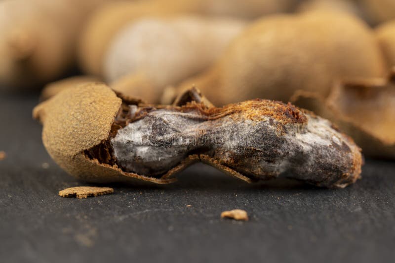 Open Ripe Tamarind Pods with Edible Pulp Stock Photo - Image of brown ...