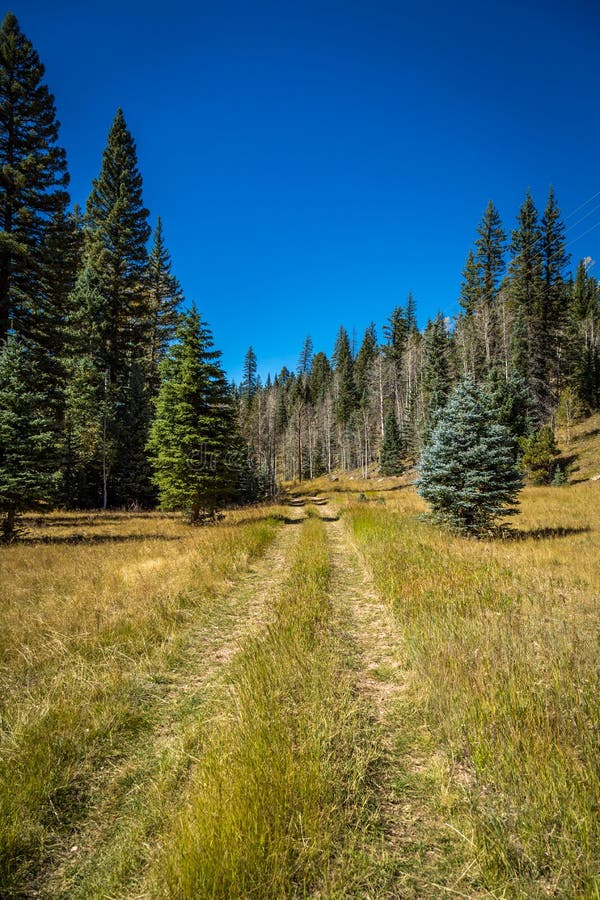 Open Road stock image. Image of freeway, accident, rain - 60404433