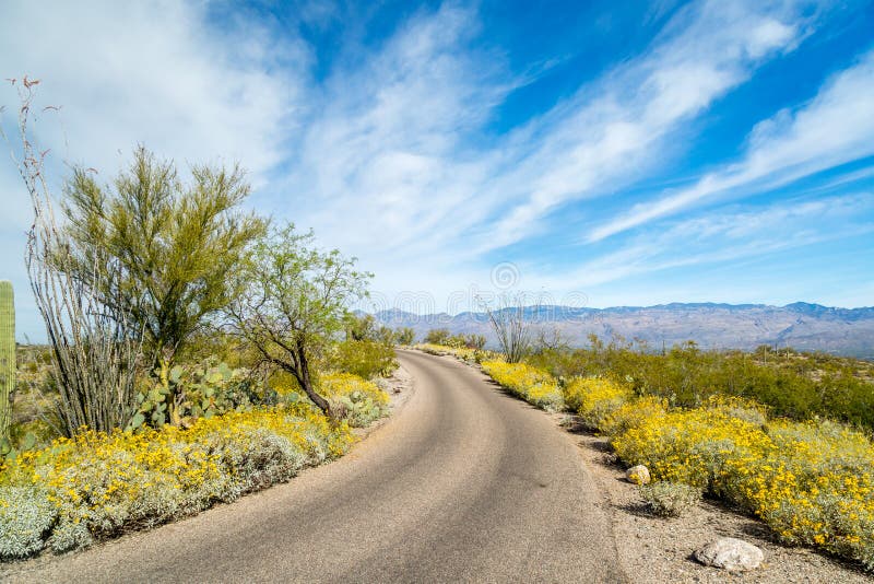 Open Road stock photo. Image of road, fault, cloudy, freeway - 68231118